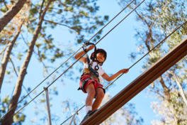 Capes Raptor Centre - Capes Foundation