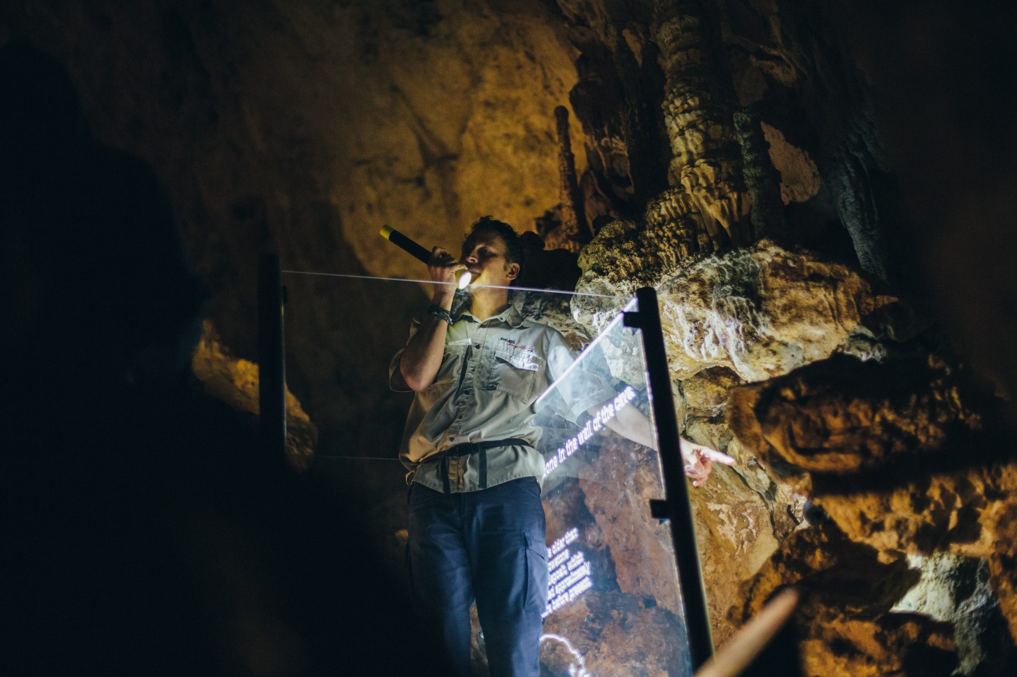 Megafauna Nightstalk - Capes Foundation