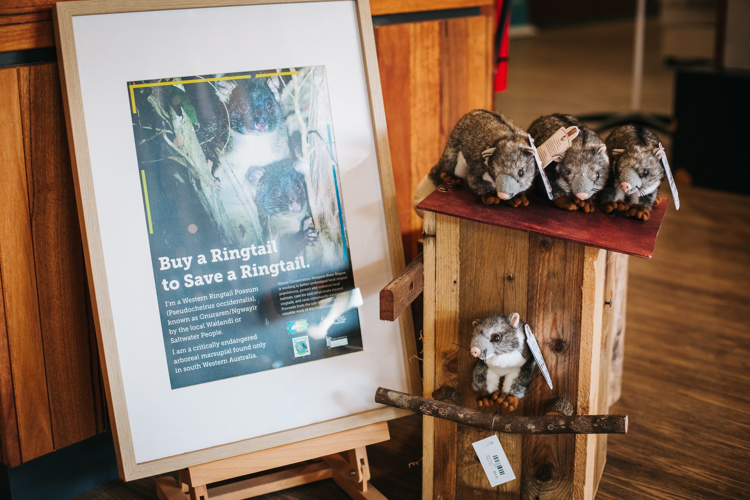 Capes Foundation and WRAG Collaborate for Conservation - Capes Foundation